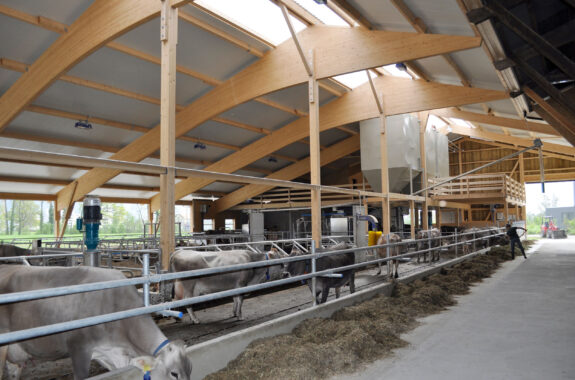 Laufstall, Baar ZG | Strüby Konzept AG | Strüby Holzbau AG | Strüby Immo AG