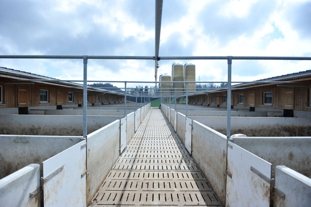 Schweinestall, Willisau LU | Strüby Unternehmungen