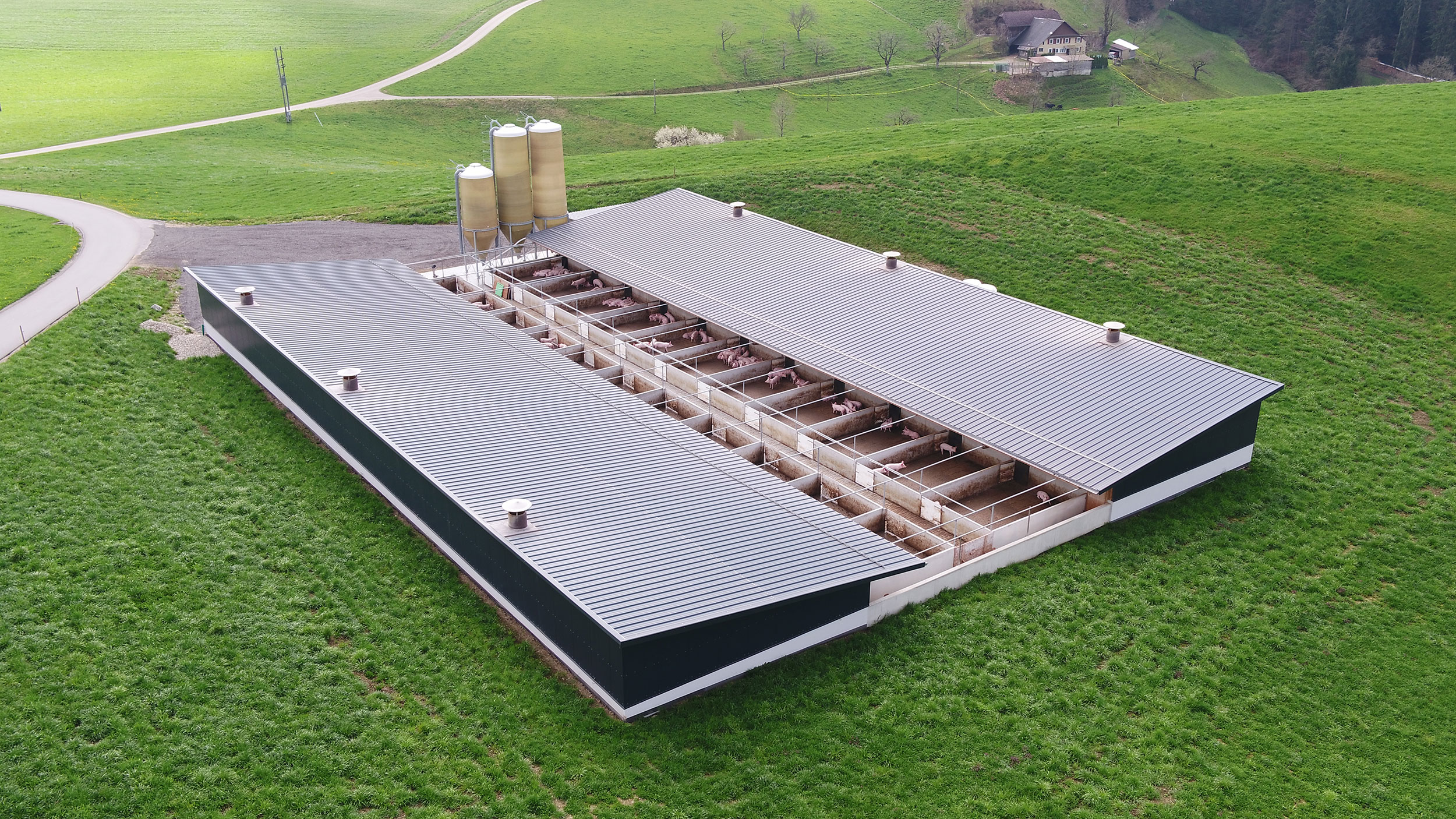 Schweinestall, Willisau LU | Strüby Unternehmungen